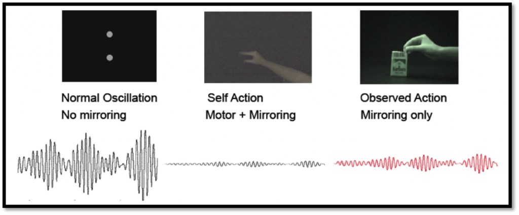 The Coffee Run: Uncovering the Secrets Behind Autism – SQ Online