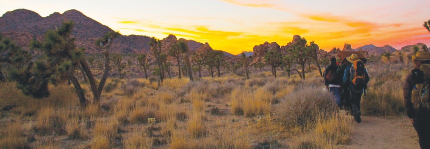 Outback Adventures: UC San Diego’s Hidden Treasure – SQ Online