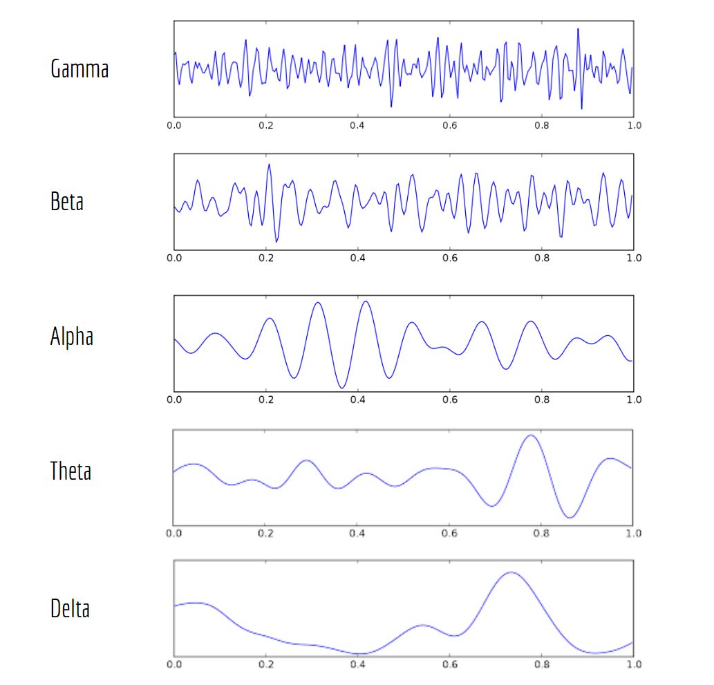 To The Rhythm of Your Brain – SQ Online