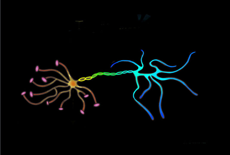 Motor Learning and Dendritic Spines: How Learning Persists to Form ... Motor Learning and Dendritic Spines: How Learning Persists to Form ...