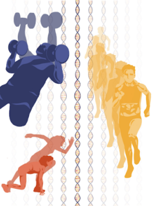 Built for Speed: How the ACTN3 “Speed Gene” Shapes Athletic Performance ...